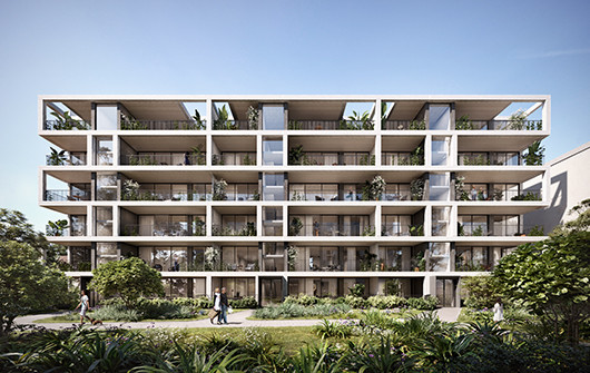 The Domain Collection