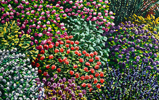 The Domain Collection