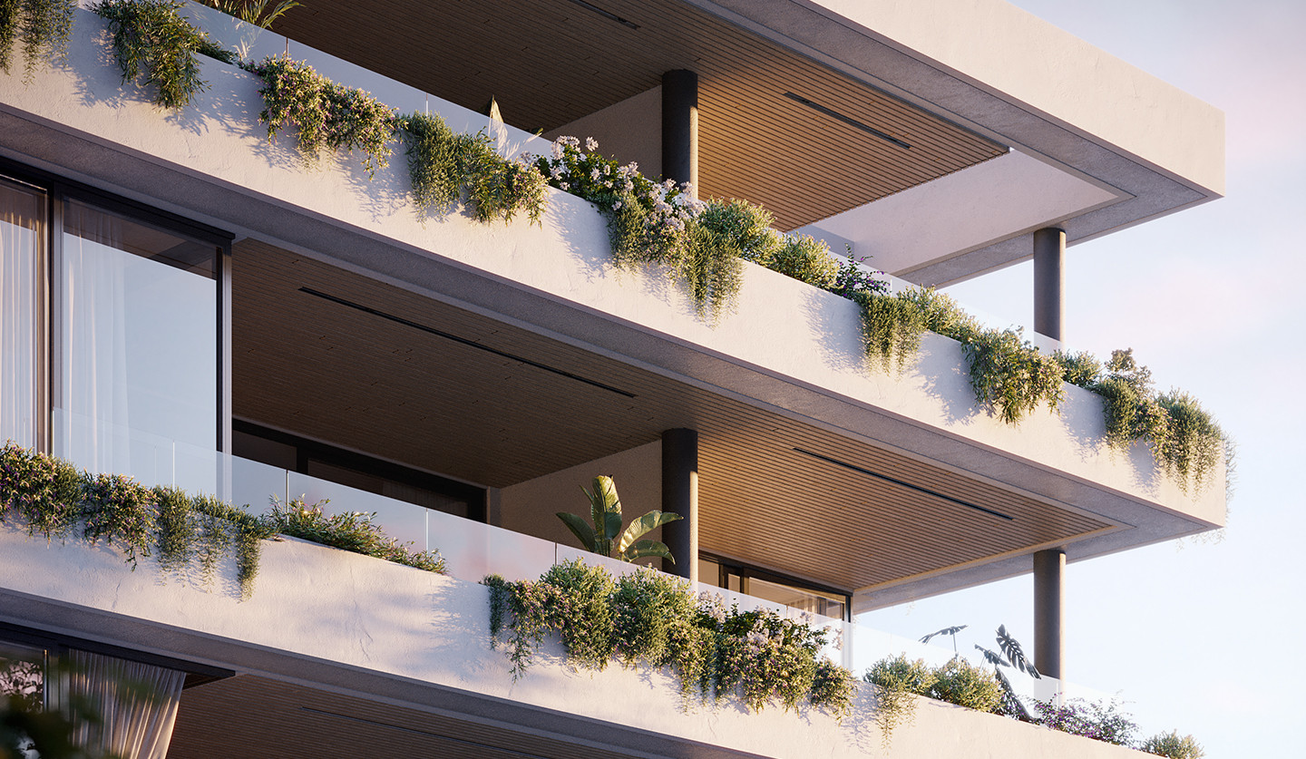 The Domain Collection