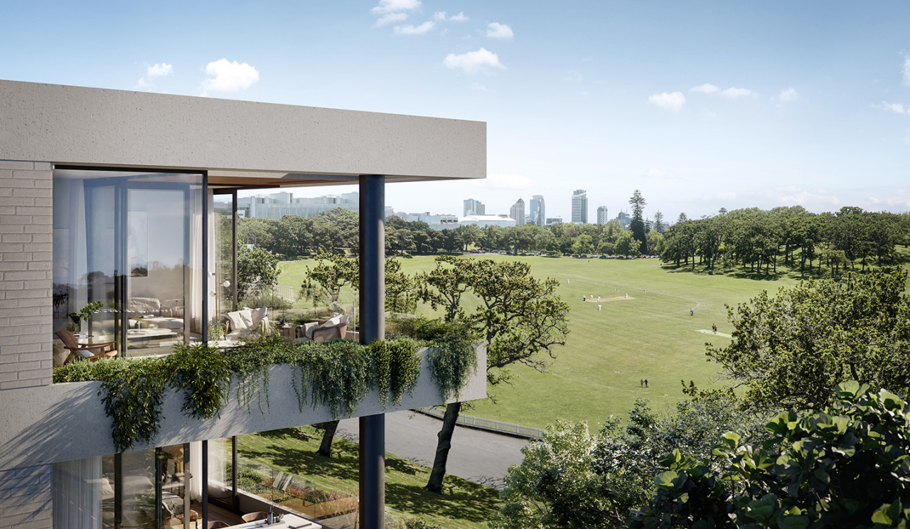 The Domain Collection